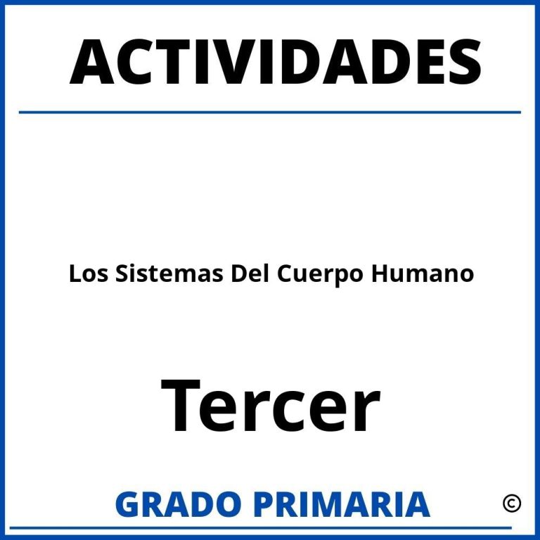 Actividades De Las Partes Del Cuerpo Para Primer Grado