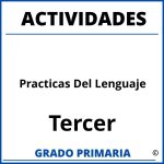 Actividades De Lenguaje Para Primer Grado